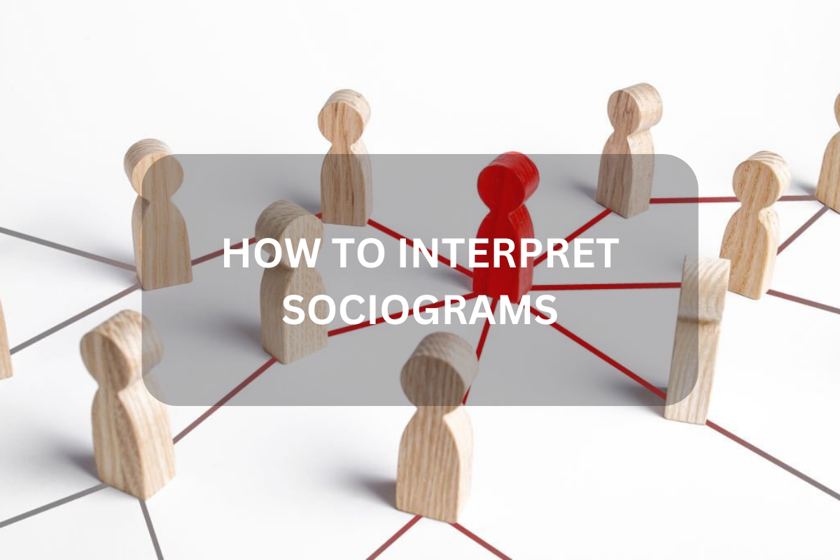 Create a Sociogram in a flash with Sometics